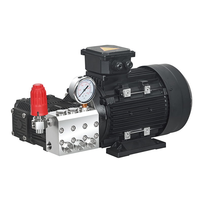 30L/min 100Bar Electric Motor 316L Stianless Steel Pump from China ...