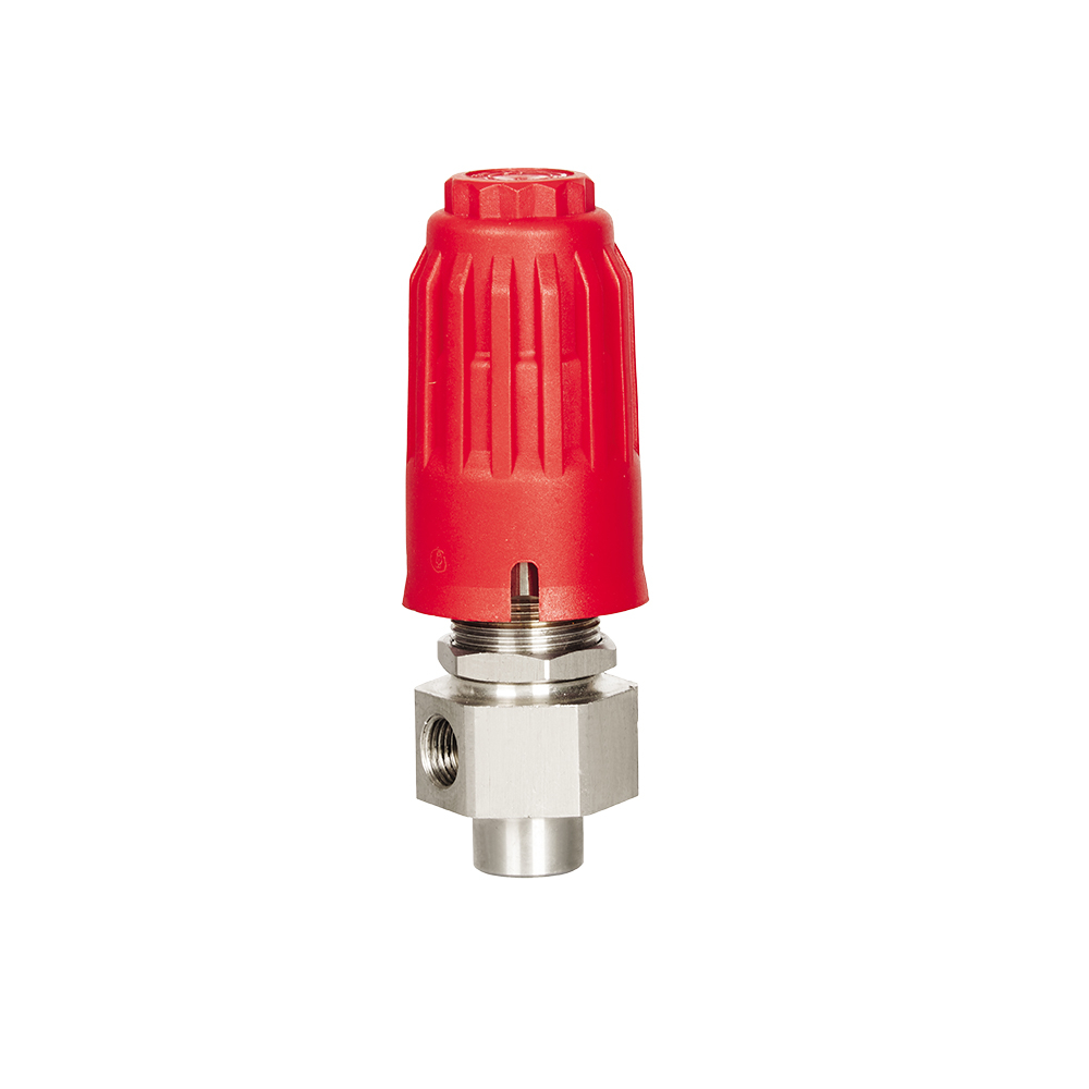 SS316L High Pressure Relief Valve for triplex plunger pump from China ...